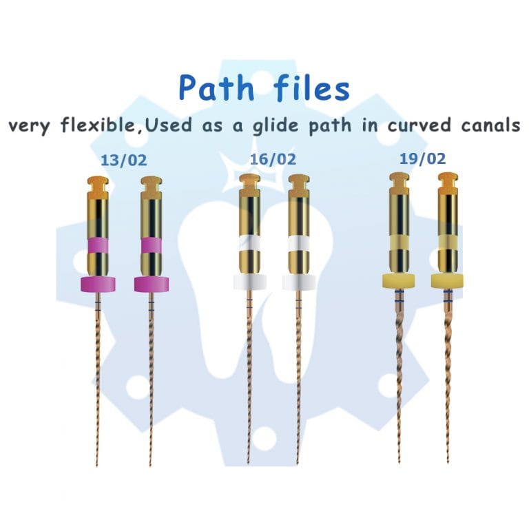 M3 - path files - Future Dentist